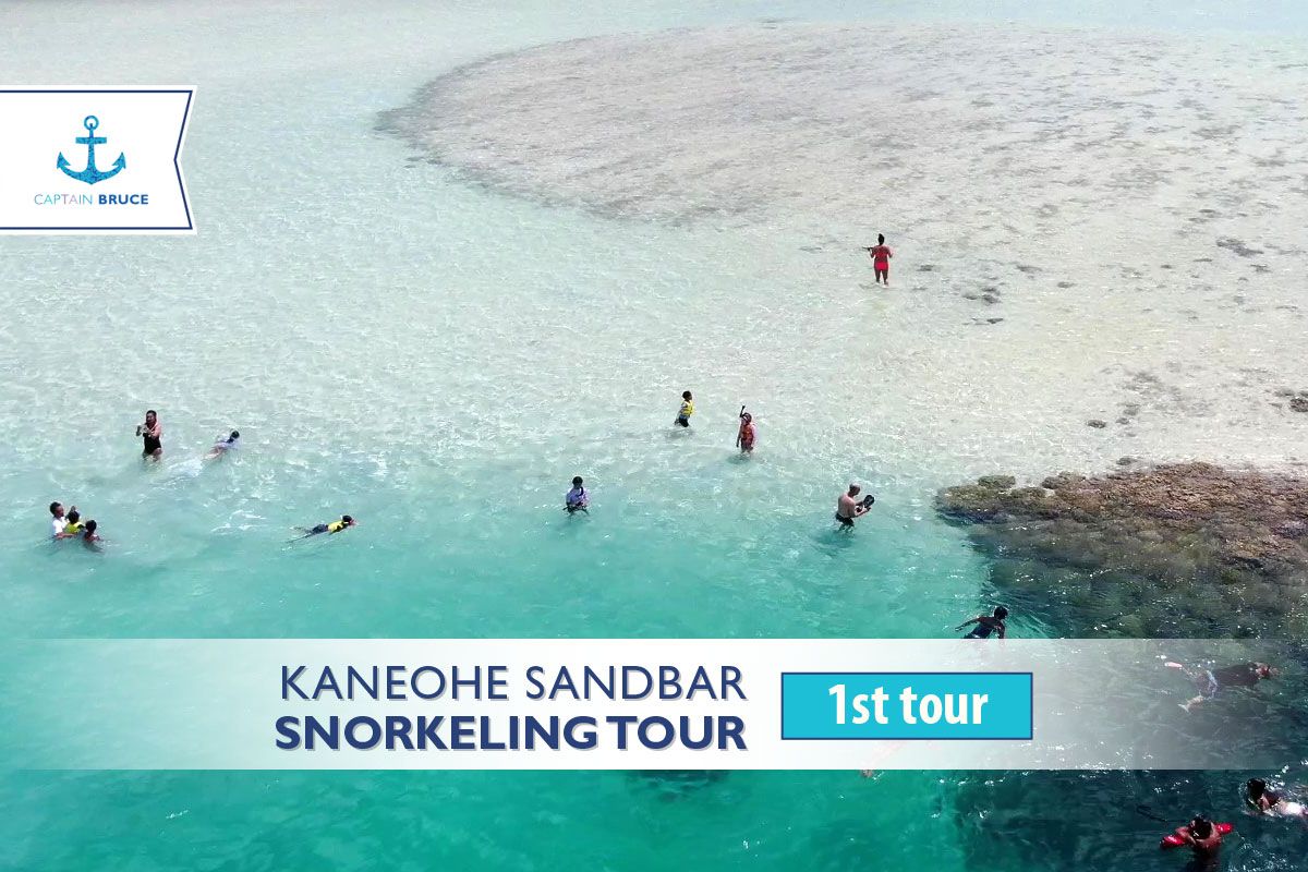 Book Sandbar Tours // CAPTAIN BRUCE