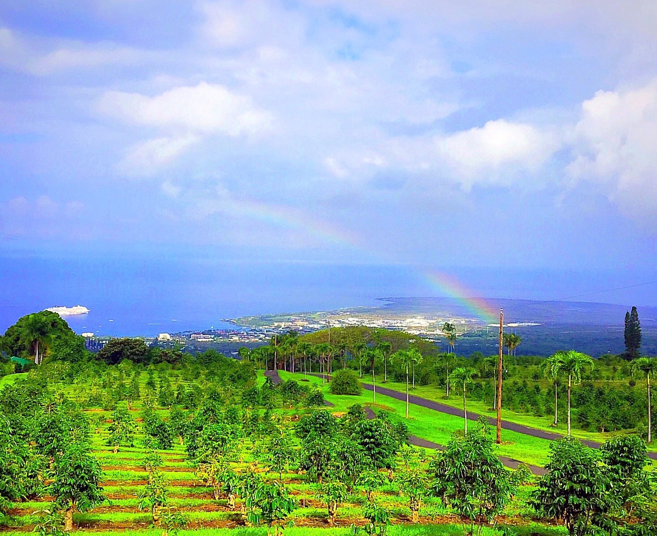 UCC Hawaii Official - Best quality 100% Kona Coffee from UCC Hawaii Kona Coffee Estate on the ...