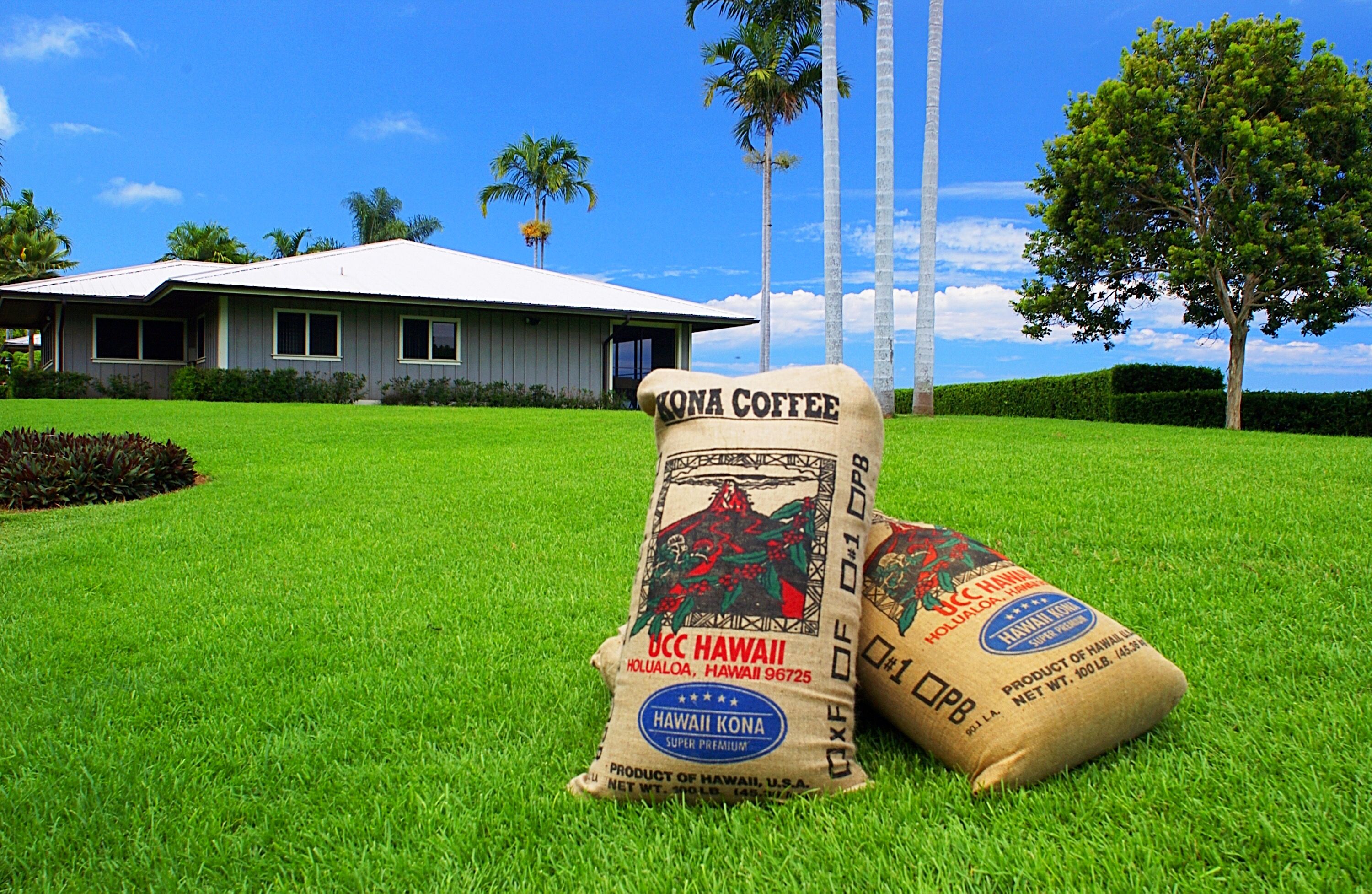 UCC Hawaii Official - Best quality 100% Kona Coffee from UCC Hawaii ...