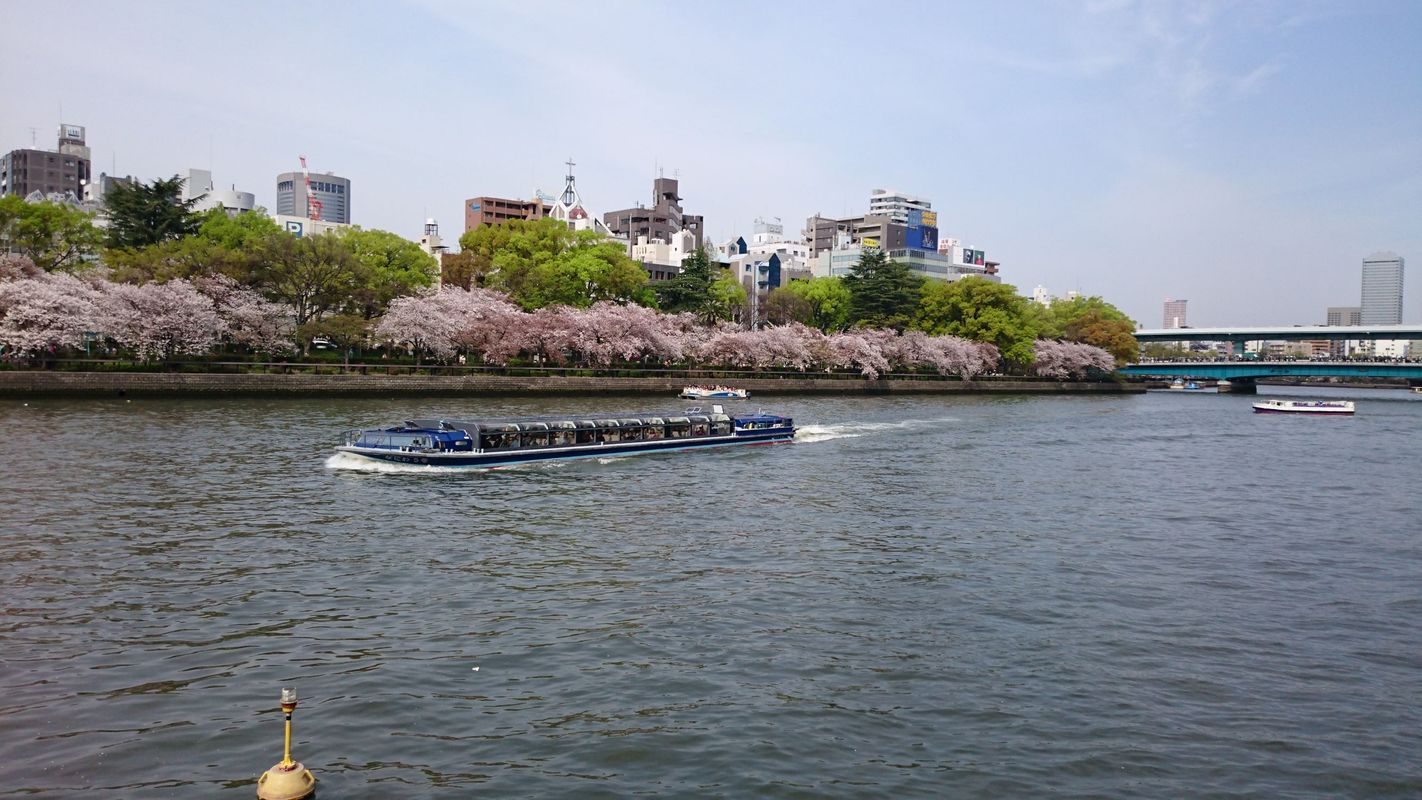 Aqualiner Osaka Castle Cherry Blossom Viewing Cruise