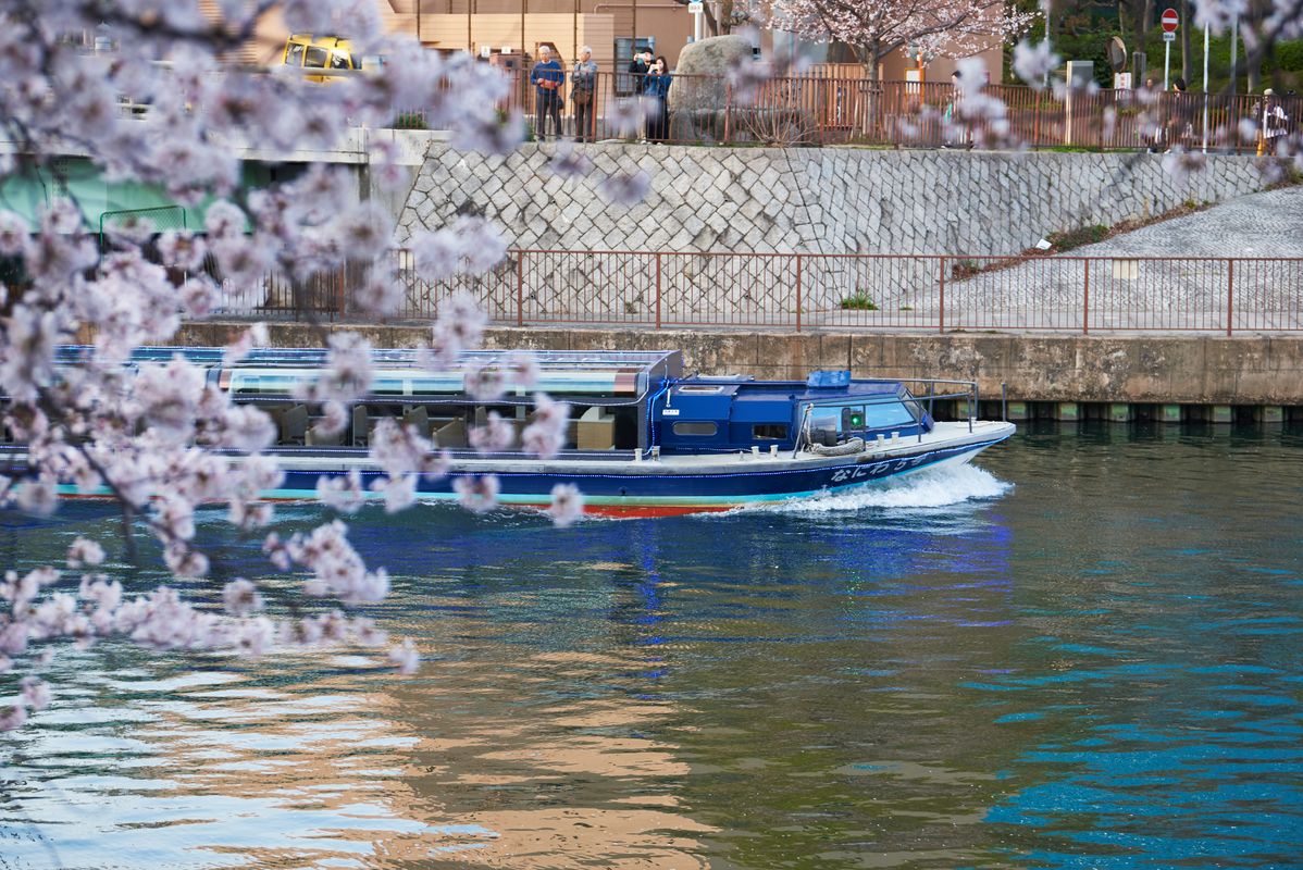 Aqualiner Osaka Castle Cherry Blossom Viewing Cruise
