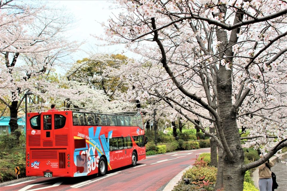 Japan's First Double-Decker Open-Top Bus 'Sky Bus'