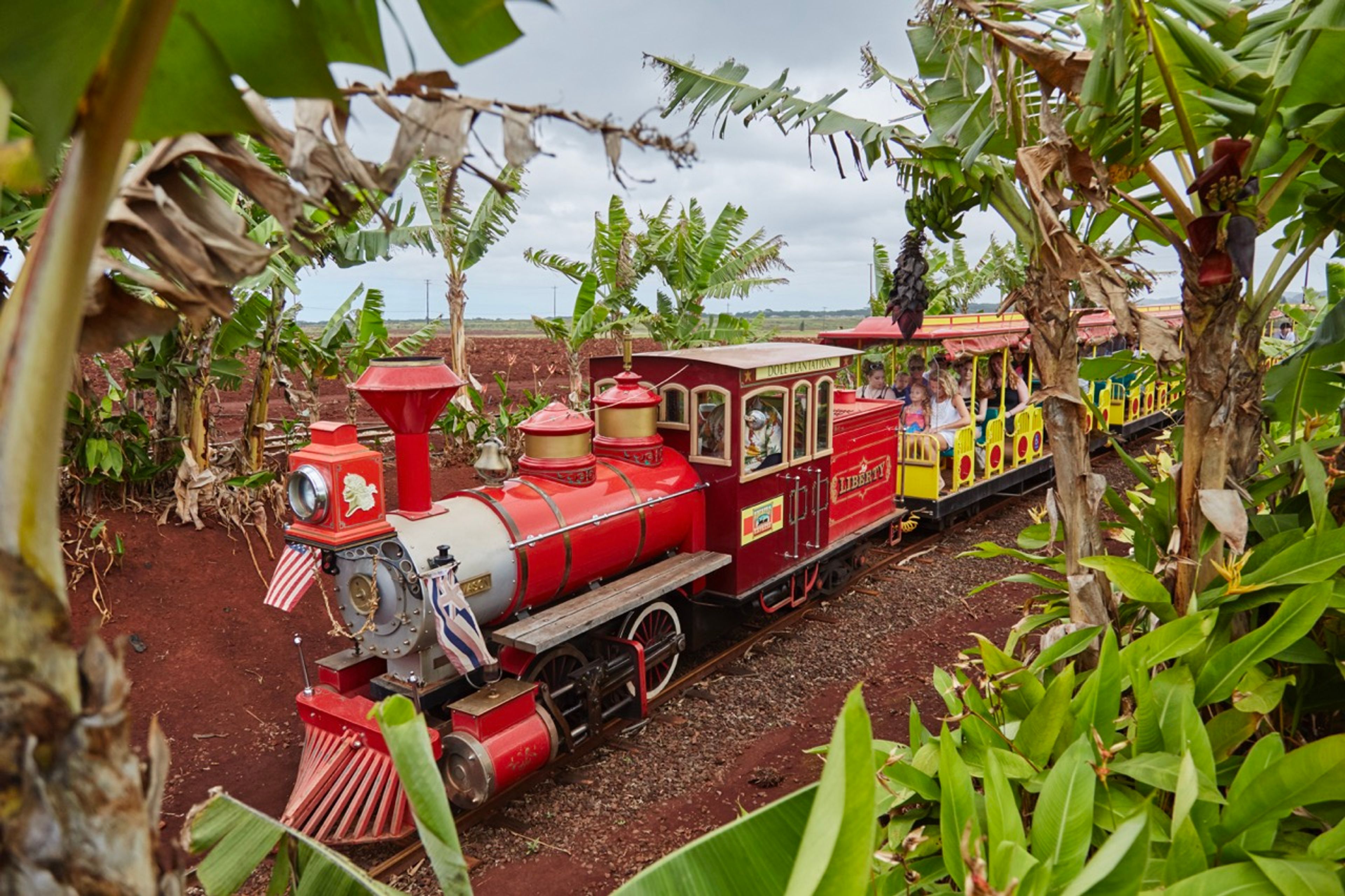 Ride the Pineapple Express at Hawaii's Dole Plantation