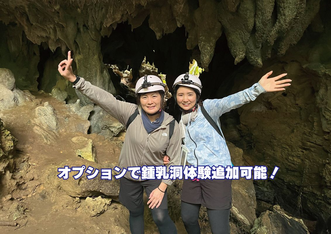 西表島探検！カヌー＆トレッキングツアー | 石垣発の離島ツアーと高速船ご予約なら｜八重山観光フェリー