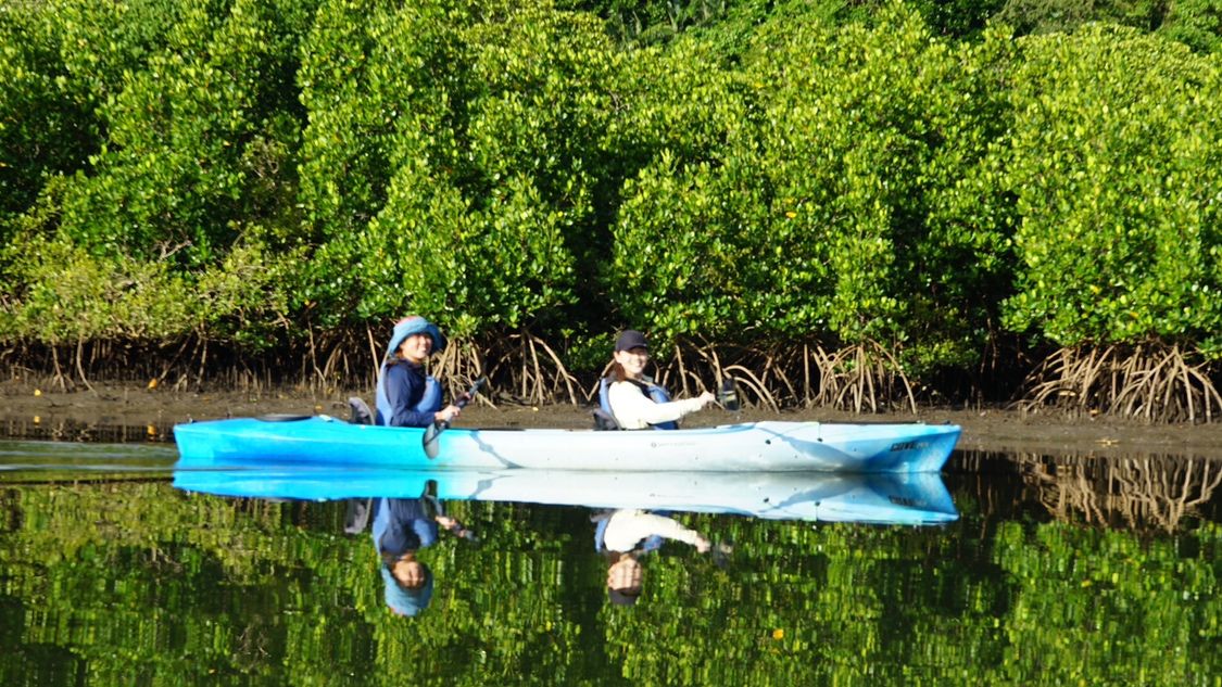 西表島仲間川半日カヌー体験と由布島観光（石垣港09:00発 / 昼食付 /由布島水牛車） | 石垣発の離島ツアーと高速船ご予約なら｜八重山観光フェリー