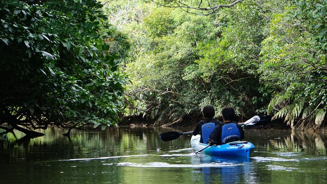 西表島仲間川半日カヌー体験と由布島観光（石垣港09:00発 / 昼食付 /由布島水牛車） | 石垣発の離島ツアーと高速船ご予約なら｜八重山観光フェリー